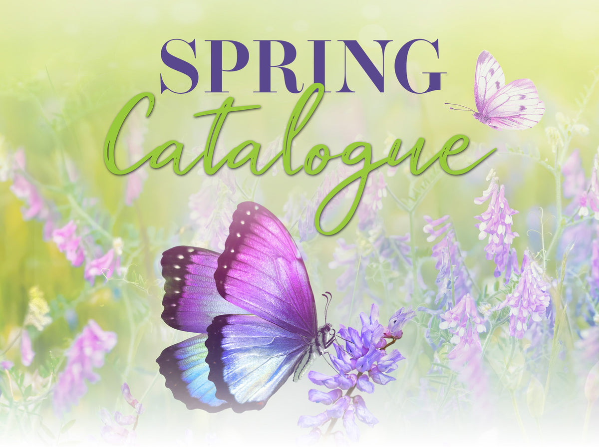 Spring 2025 – Tagged "Biography & Autobiography" – Sonshine Books & Gifts